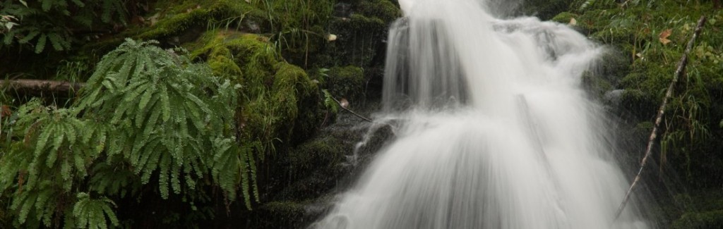 Karst Ecosystems (KA) | DIEM Project